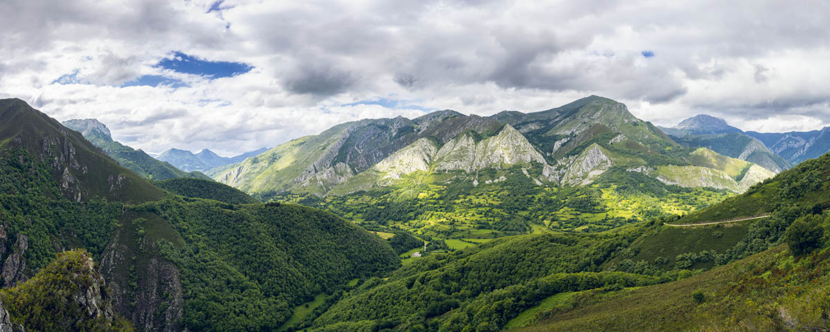 Grünes Naturparadies