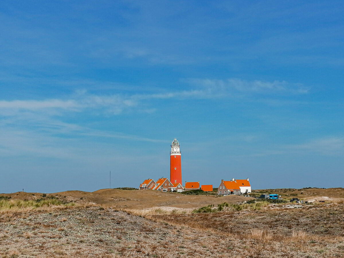 Entdecken Sie das faszinierende Wattenmeer